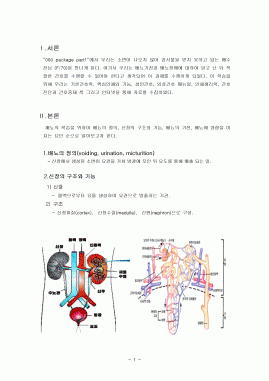 배뇨관리에 관한 reprot 입니다.-1페이지