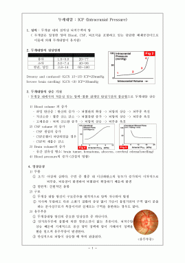 두개내압 : ICP (Intracranial Pressure)-1페이지