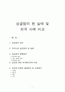 싱글맘의 현 실태 및 외국 사례 비교-1페이지