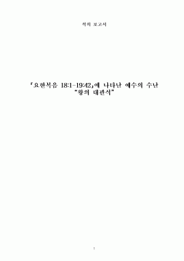 (소논문)요한복음 내러티브 석의 보고서-1페이지