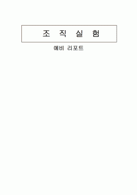 조직실험 예비레포트-1페이지