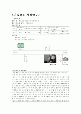 산업장실습 - 가족간호사례-1페이지