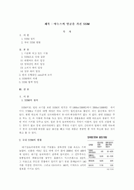 야누스의 얼굴을 가진 SSM-1페이지