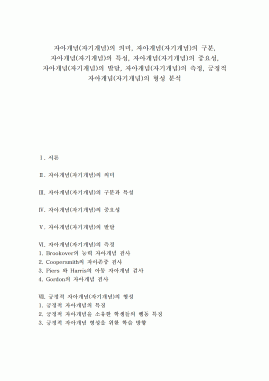 자아개념(자기개념)의 의미, 자아개념(자기개념)의 구분, 자아개념(자기개념)의 특성, 자아개념(자기개념)의 중요성, 자아개념(자기개념) 발달, 자아개념(자기개념) 측정, 긍정적 자아개념(자기개념) 형성 분석-1페이지