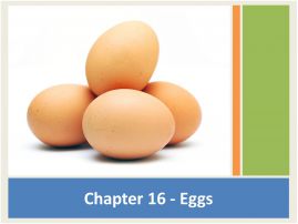 Chapter 16 - Eggs-1페이지