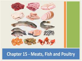 [조리과학] Chapter 15 - Meats, Fish and Poultry-1페이지