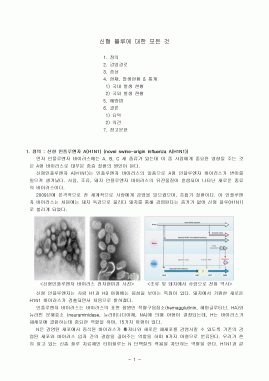 신형 플루에 대한 모든 것-1페이지