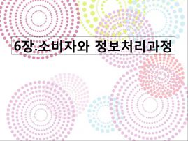 산업심리학 소비자심리학 소비자와 정보처리과정-1페이지