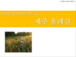 제주 올레길에 대한 이벤트 상품 기획안-1페이지