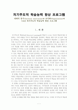 자기주도적 학습능력 향상 프로그램-1페이지