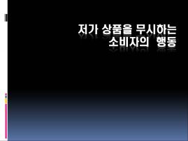 저가상품에대한 소비자행동분석-1페이지