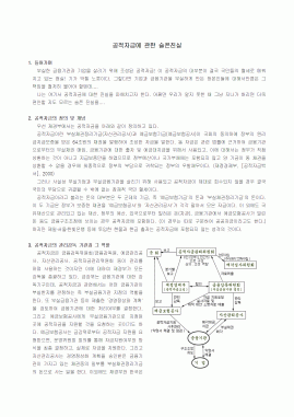 공적자금에 관한 슬픈진실-1페이지