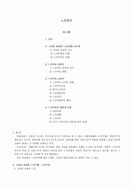 고령화 사회 노인문제와 노인복지 쟁점과 전망-1페이지