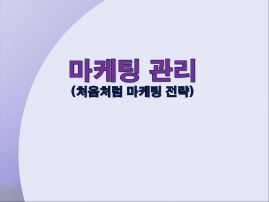 처음처럼 마케팅swot,stp,3p사례 분석-1페이지