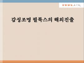 감성조명 필룩스(feelux)해외진출 마케팅사례-1페이지