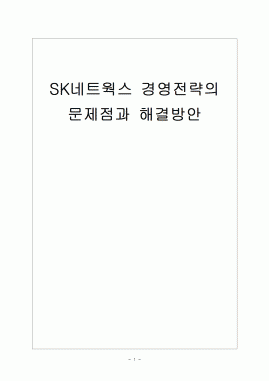 [SK네트웍스]SK네트웍스 경영전략의 문제점과 해결방안 보고서-1페이지