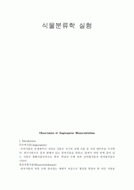 식물-Observation of Angiosperm-Monocotyledom-1페이지