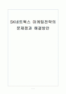 [SK네트웍스]SK네트웍스 마케팅전략의 문제점과 해결방안 보고서-1페이지