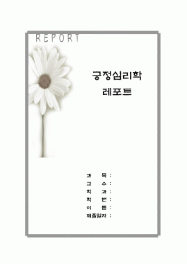 [긍정심리학] 주관적 행복의 이해 - 행복에 영향을 미치는 인구사회학적 요인들-1페이지