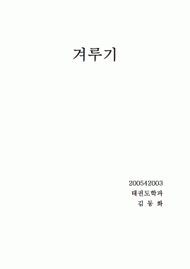 겨루기의 정의 및자세와 기술-1페이지