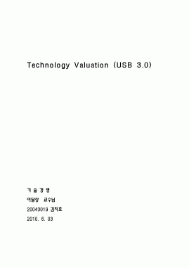 USB기술가치평가-1페이지