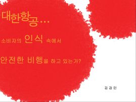 대한항공의 전략방안 (대한항공은 소비자 인식 속에서 안전한 비행을 하고 있는가?)-1페이지