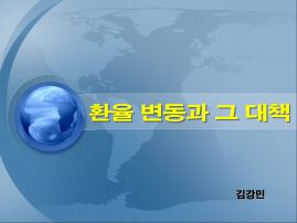 시사경제이슈(환율변동과 그 대책)-1페이지