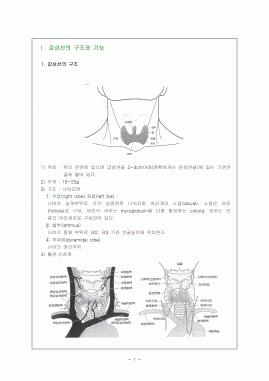 갑상선의 구조와 기능 Thyroid Ca-1페이지