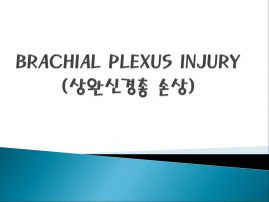 Brachial plexus injury(상완신경총 손상)-1페이지