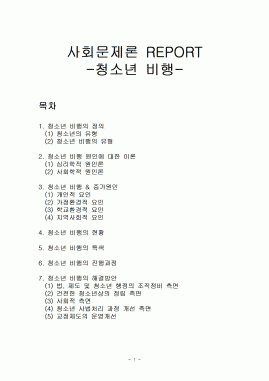 (사회문제론) 청소년 비행 정의, 이론, 원인, 현황, 해결방안 보고서-1페이지