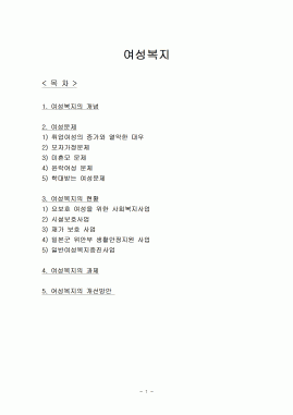 (사회복지개론) 여성복지의 현황과 과제 그리고 개선방안-1페이지