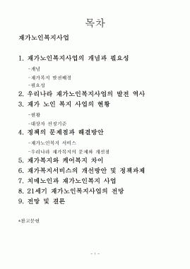 (지역사회복지론) 재가노인복지사업 정책의 문제점과 해결방안 보고서-1페이지