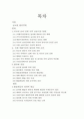 글로벌 달러화의 약세 환율변동 정책 대응-1페이지