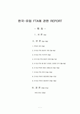 한유  FTA 에 관한 보고서 -1페이지