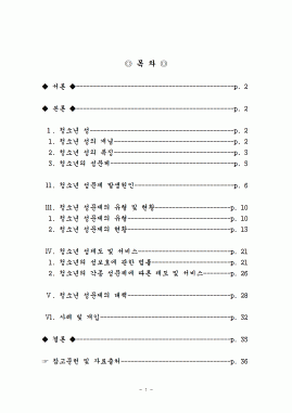 청소년의 성과 청소년 성문제 유형, 현황, 법, 제도, 서비스 보고서-1페이지