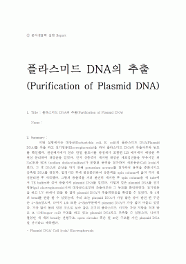 플라스미드 DNA의 추출(Purification of Plasmid DNA)-1페이지