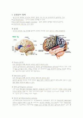 뇌졸중 환자의 언어재활-1페이지