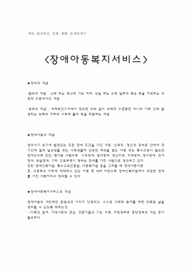 장애아동복지서비스 레포트-1페이지