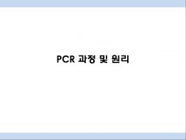 PCR 중합효소 연쇄반응-1페이지