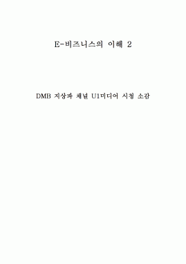 e-비지니스의이해 : DMB 사용후기-1페이지