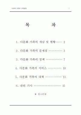 다문화가족의 개념및현황, 문제점, 사회복지정책, 서비스, 대책 보고서-1페이지