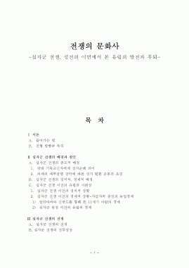 십자군 전쟁, 성전의 이면에서 본 유럽의 발전과 후퇴-1페이지