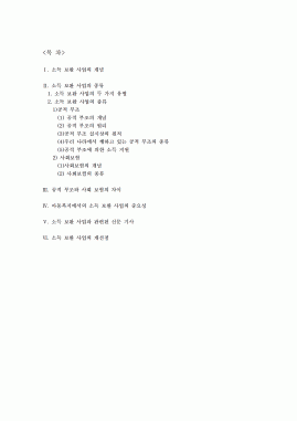 소득보완사업(개념,종류,유형,공적부조,사회보험,빈곤아동소득보완,신문기사,개선안)보고서-1페이지