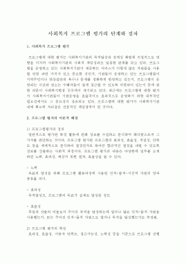 사회복지 프로그램 평가의 단계와 절차-1페이지