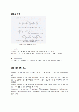 전분의 구조와 가수분해 효소 -1페이지