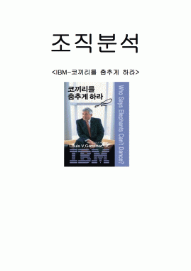 IBM 조직분석 (코끼리를 춤추게 하라 참고)-1페이지