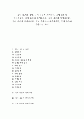 [음운][국어]국어 음운의 유형, 국어 음운의 의미타락, 국어 음운과 한어음운학, 국어 음운과 통시음운론, 국어 음운과 억양음운론, 국어 음운과 공시음운론, 국어 음운과 아동음운습득, 국어 음운과 음운간섭 분석-1페이지