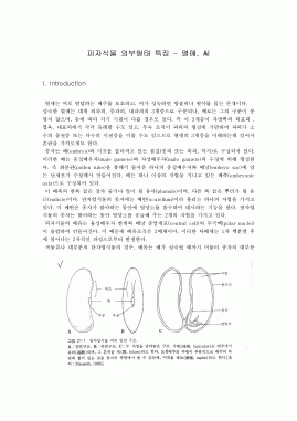 피자식물(열매,종자)-1페이지