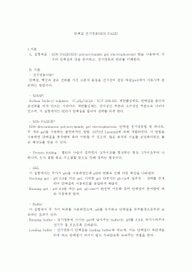 단백질 전기영동법 (SDS-PAGE) 실험-1페이지