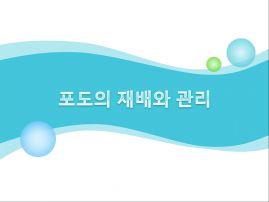 포도의 재배와 관리-1페이지